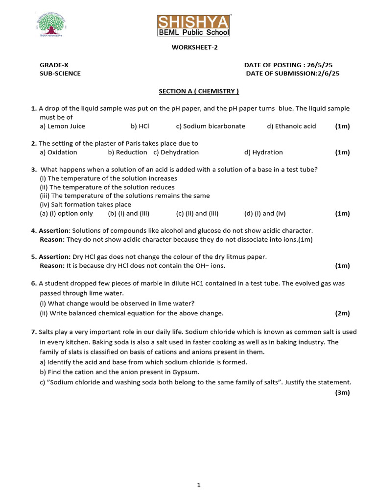 Science Worksheet 2 Grade X | PDF | Vein | Artery
