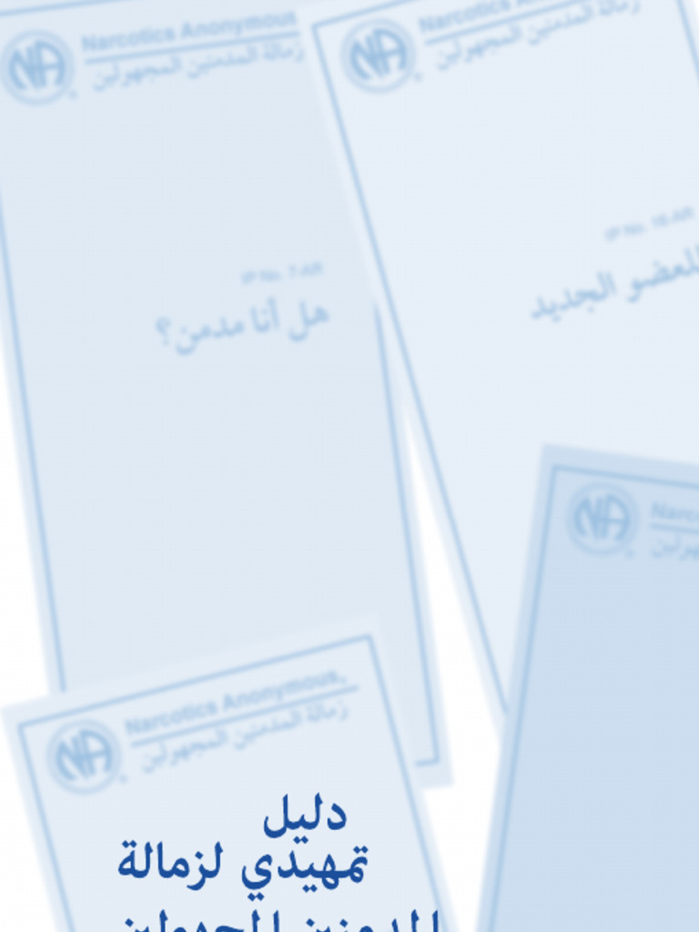 An Introductory Guide To NA Arabic | PDF