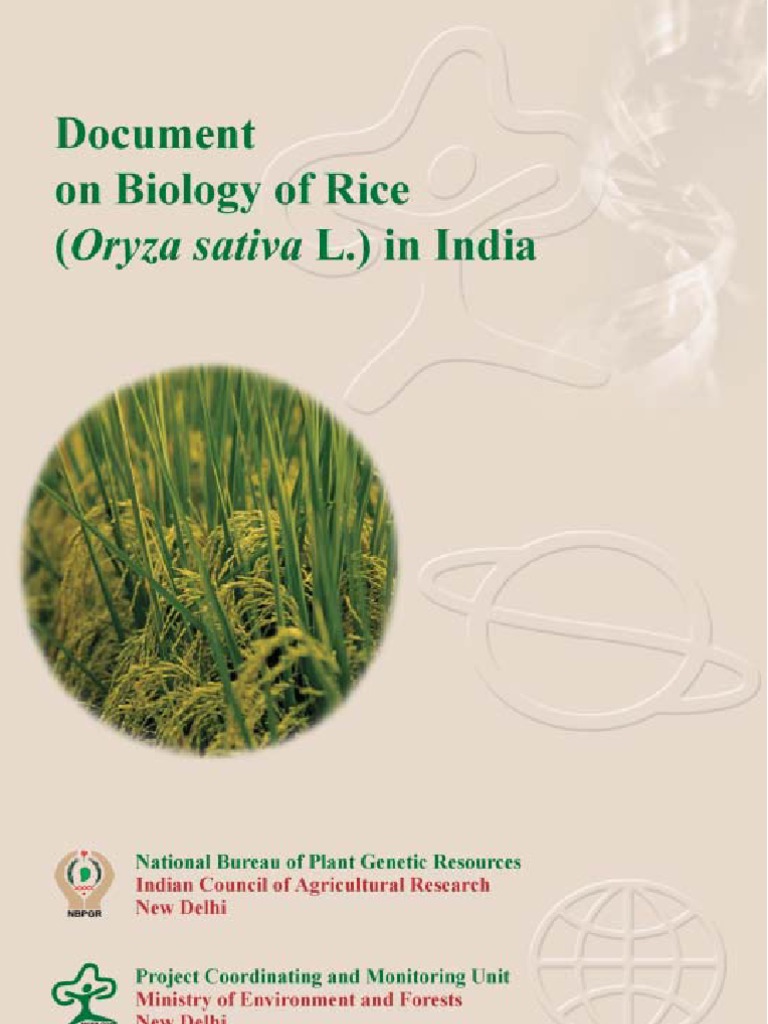 Document On Biology of Rice | PDF | Rice | Hybrid (Biology)