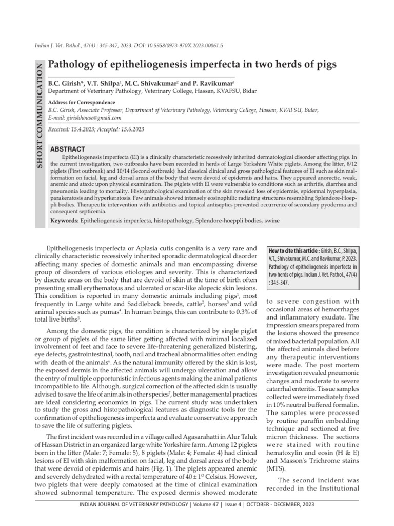 Pathology of Epitheliogenesis Imperfecta in Pigs | PDF | Skin ...