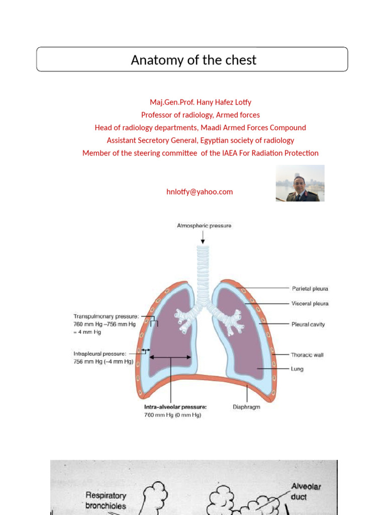 Gu 2022 Chest Anatomy | PDF