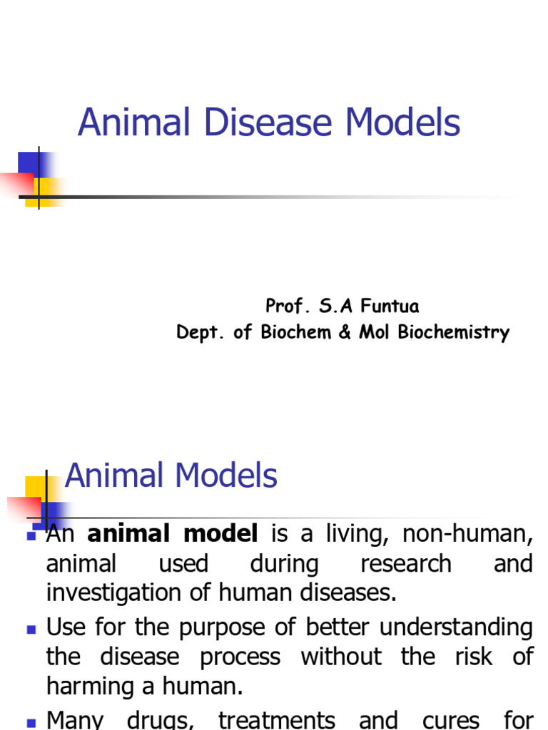 Animal Disease Models - Prof Funtua Slide | PDF