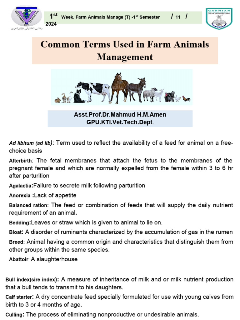 1st Lect Farm Animals (T) | PDF | Sheep | Cattle