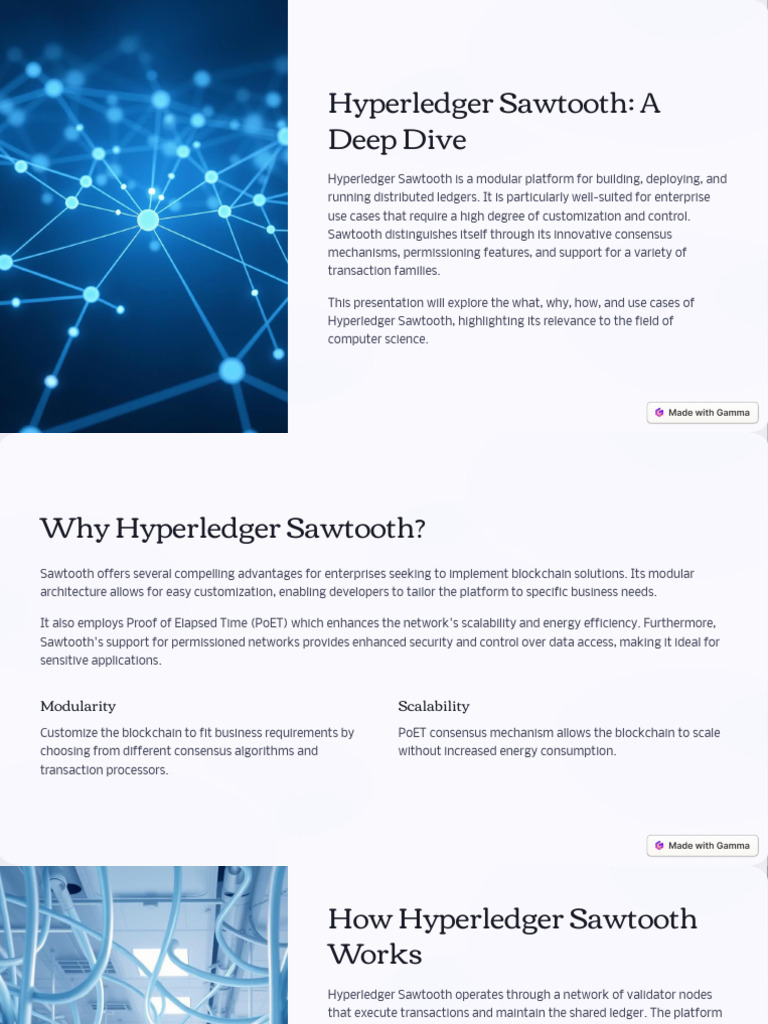 Hyperledger Sawtooth A Deep Dive | PDF | Information Technology | Computer Science