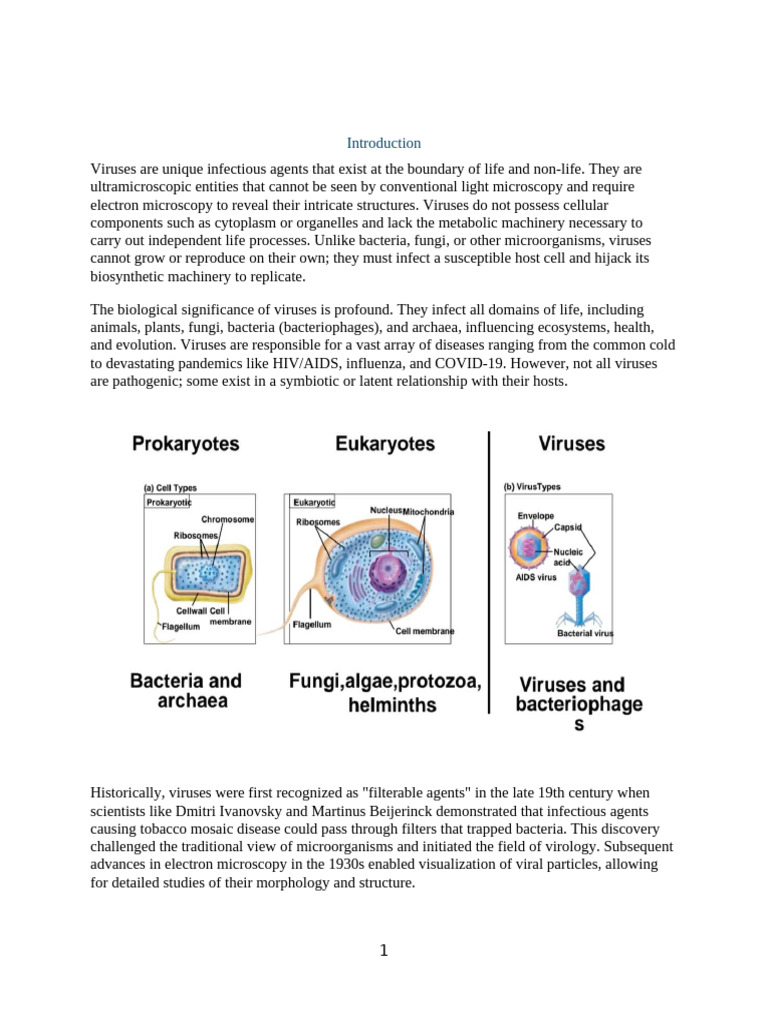 Assignment On Properties of Virus | PDF | Virus | Immune System