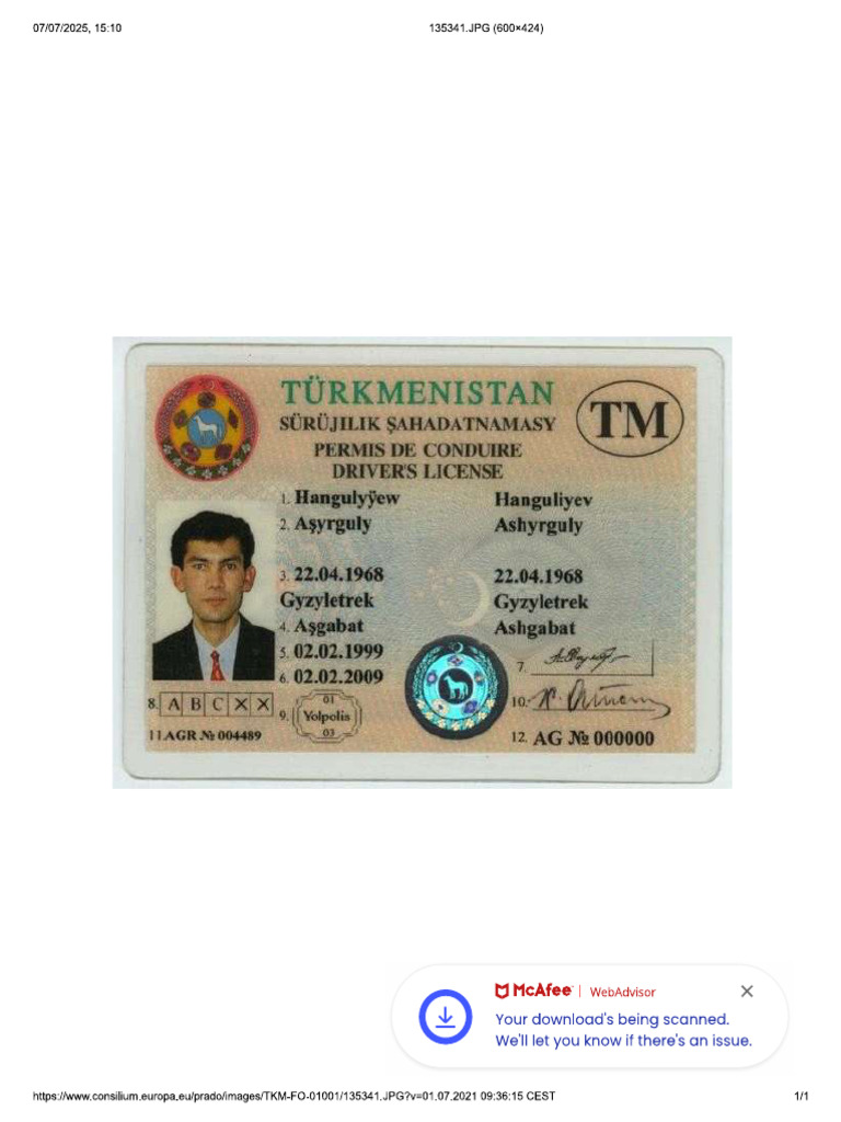 Turkmen ID Driver License | PDF