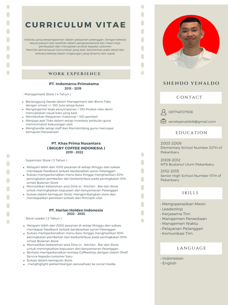 Curriculum Vitae Dodo 1 PDF | PDF