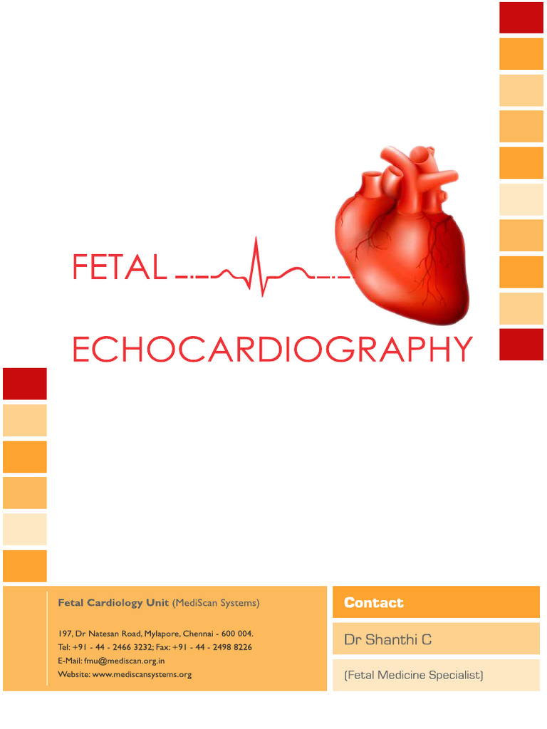 Fetal Echocardiography | PDF