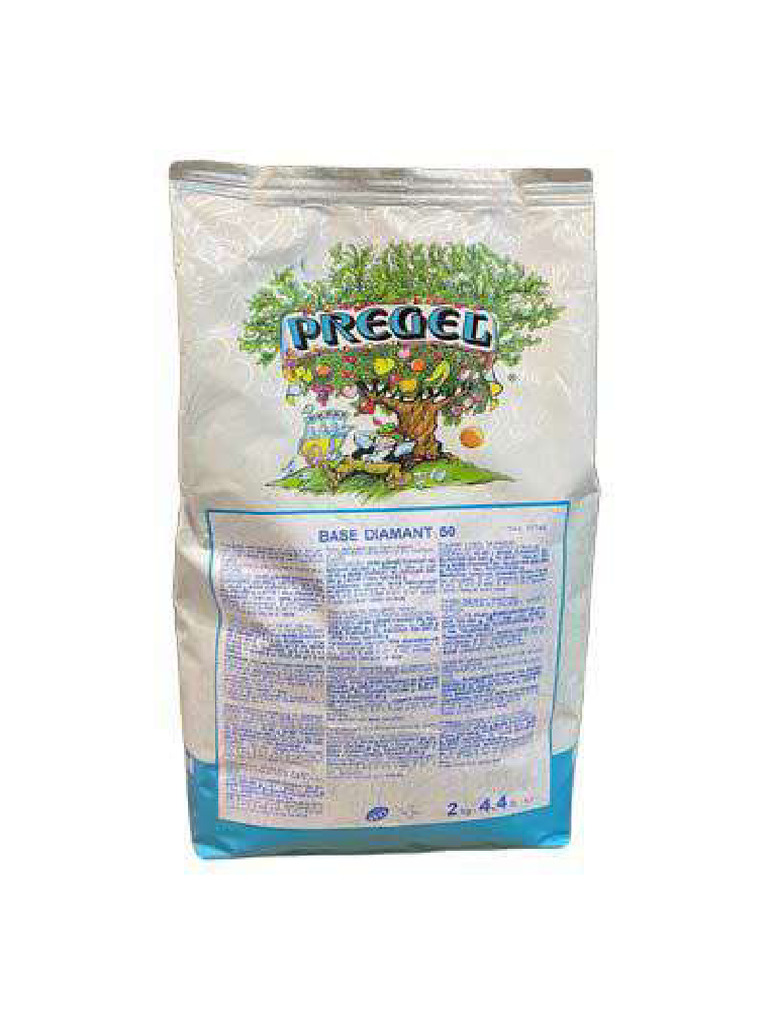 Pregel Product | PDF