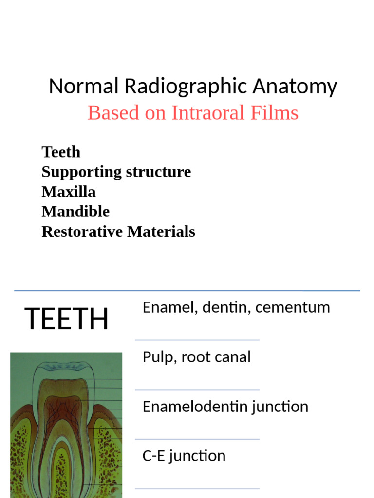 Normal Radiographic Anatomy - 2024 | PDF | Dental Anatomy | Dentistry ...