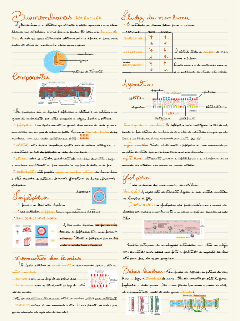 Biocel | PDF