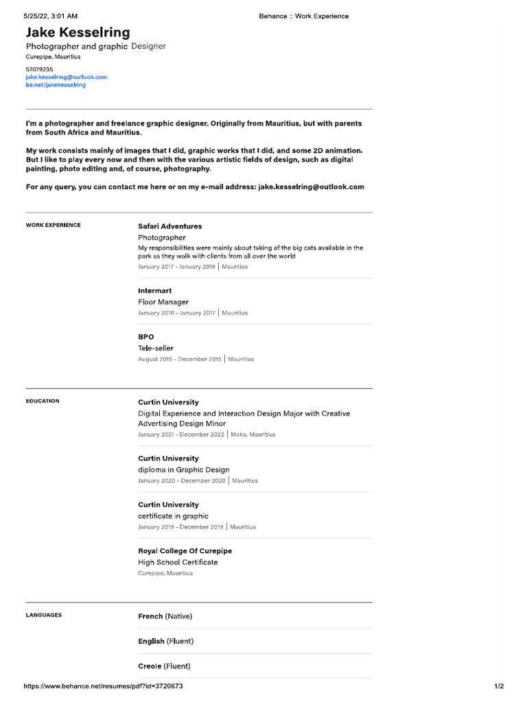 CV Minimal | PDF