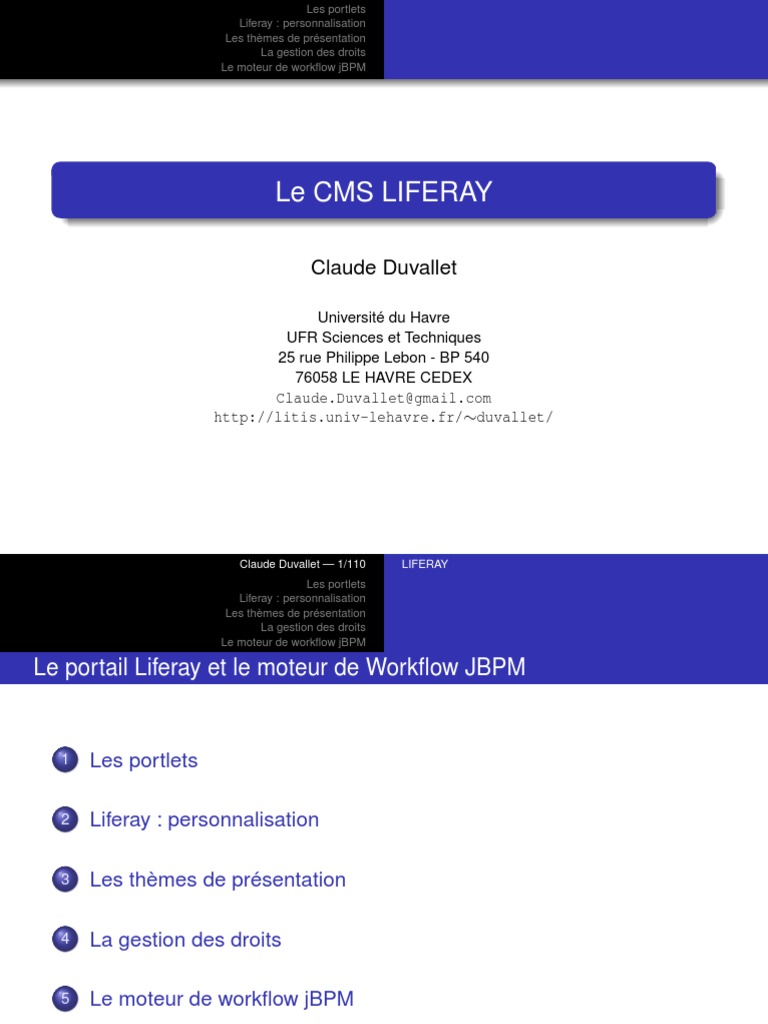 Cours Liferay | PDF