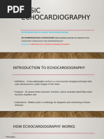 Echocardiography Basics and Techniques | PDF | Heart | Echocardiography