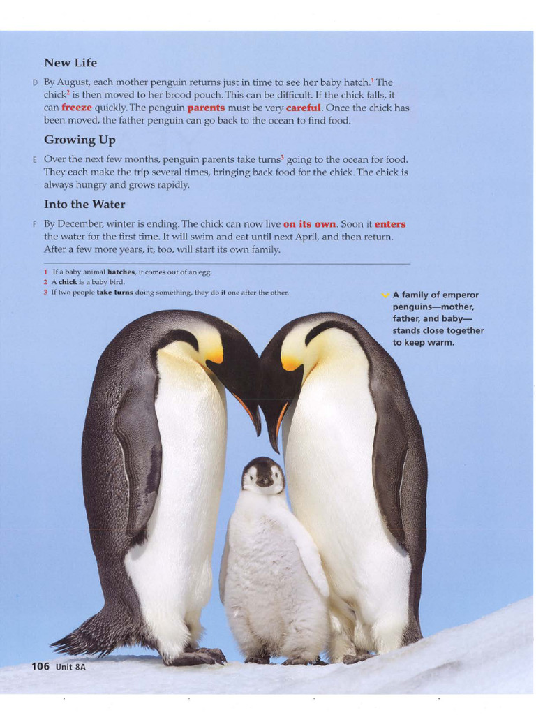 Reading Explorer Foundation SB 107 | PDF