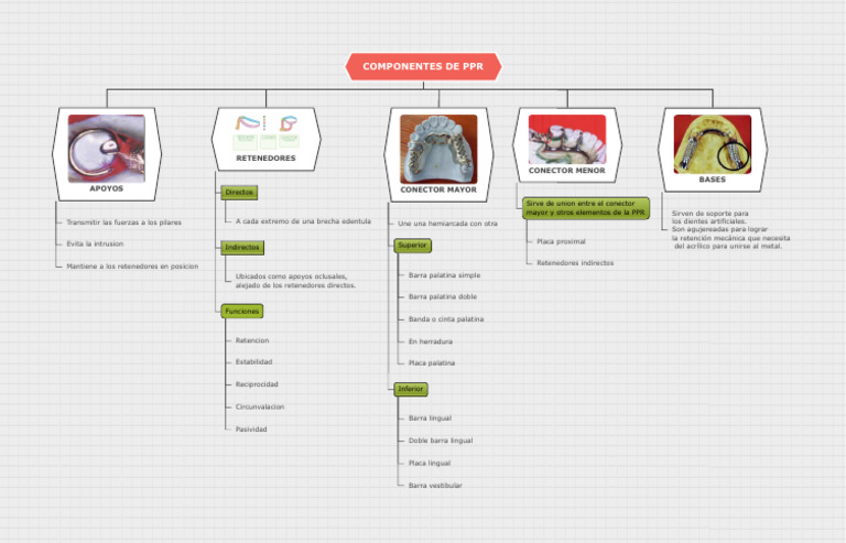 Componentes y Diseño de PPR | PDF