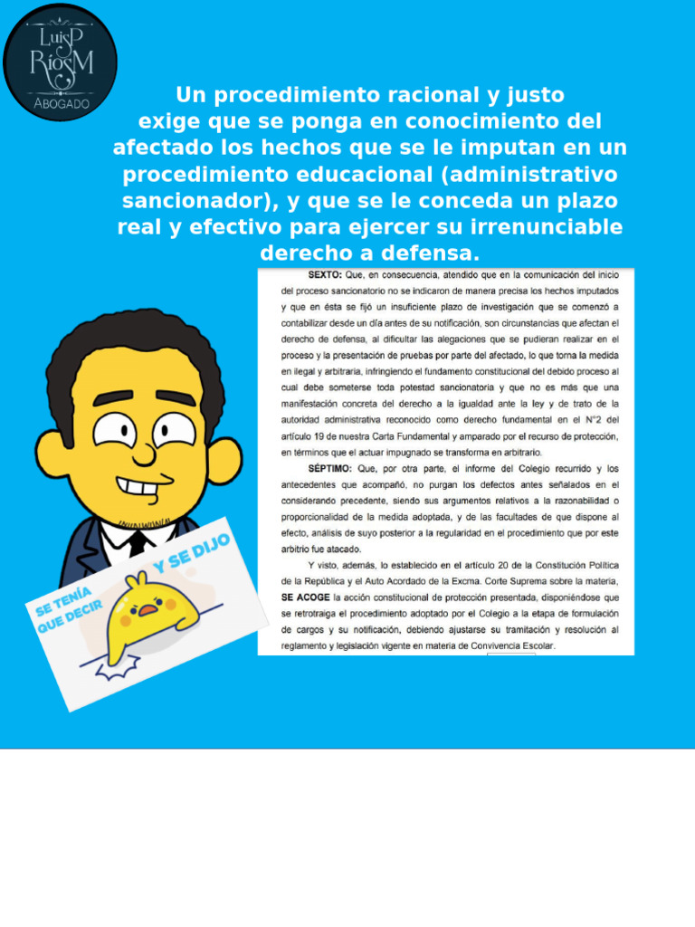 Meme Debido Proceso | PDF