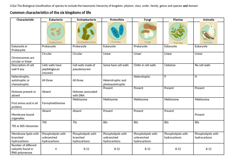 Domains Table Worksheet | PDF | Cell (Biology) | Prokaryote