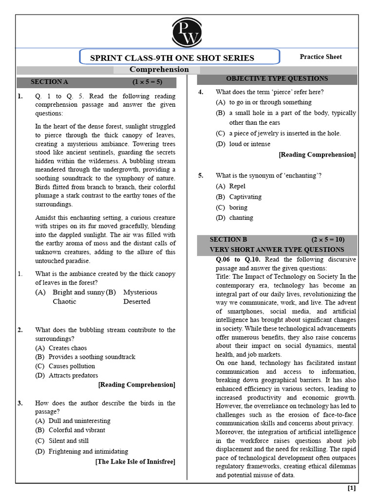 Reading Comprehension Practice Sheet | PDF | Cyberbullying