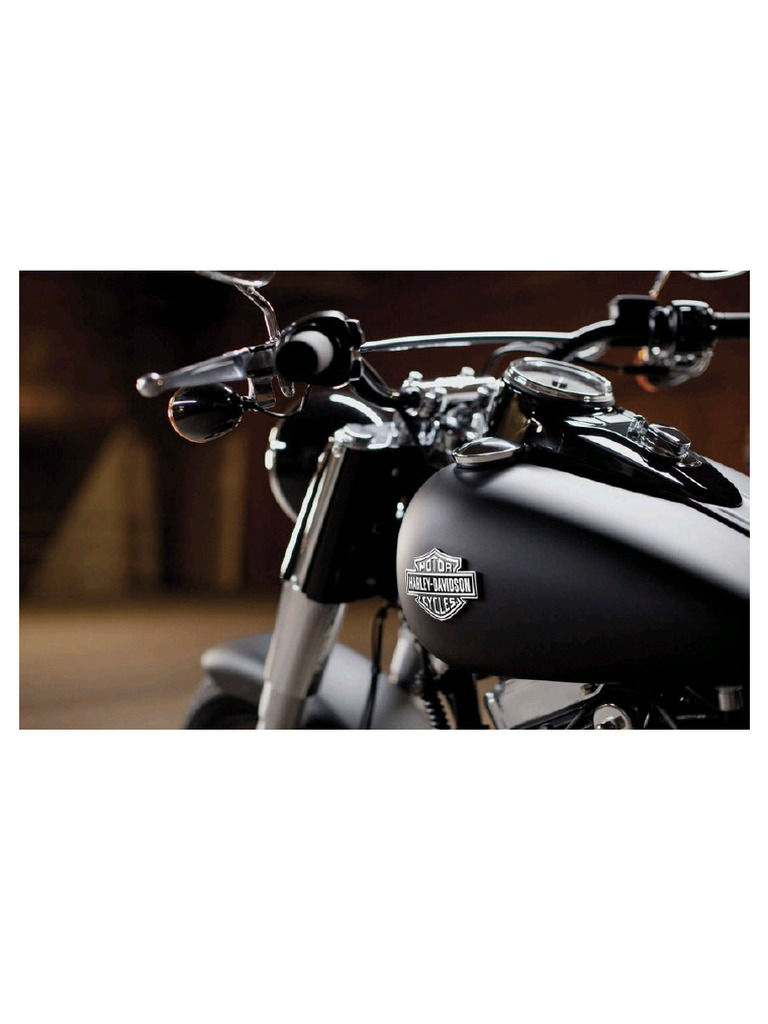Harley Davidson | PDF