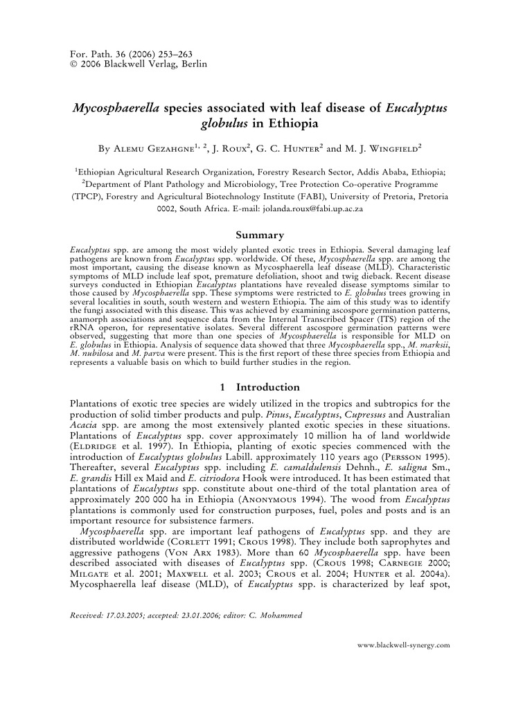 Mycosphaerella Species Associated With Leaf Disease of Eucalyptus ...