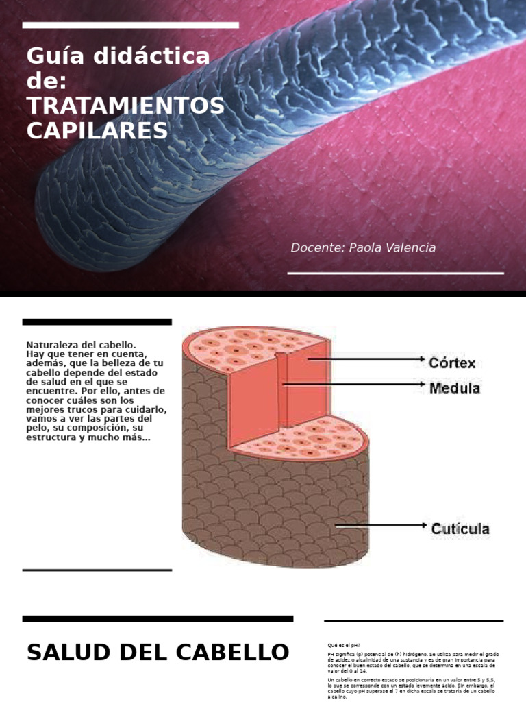 Guía Didáctica de | PDF | Ph | Pelo