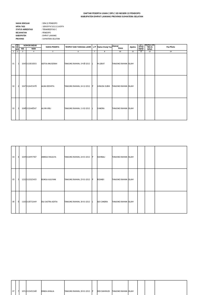 FORMAT Permintaan Data DPU-1 | PDF