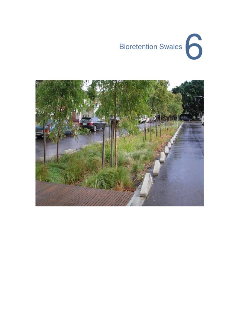 Bioretention Swale | PDF | Stormwater | Soil