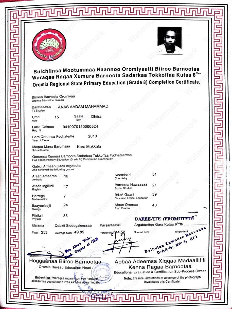 Grade 8 Certificate | PDF