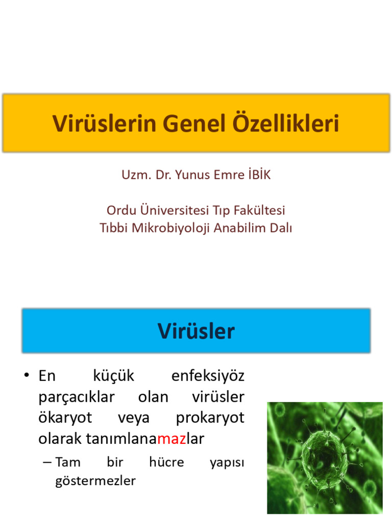 6) Virã Slerin Genel Ã Zellikleri | PDF
