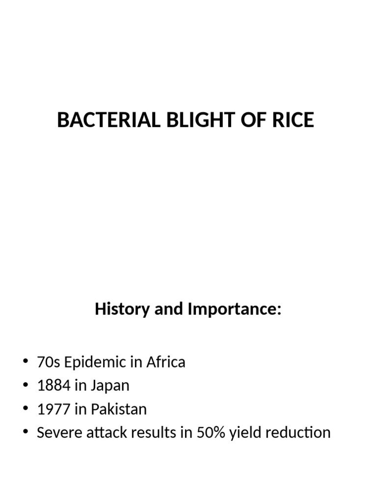 Bacterial Blight of Rice | PDF