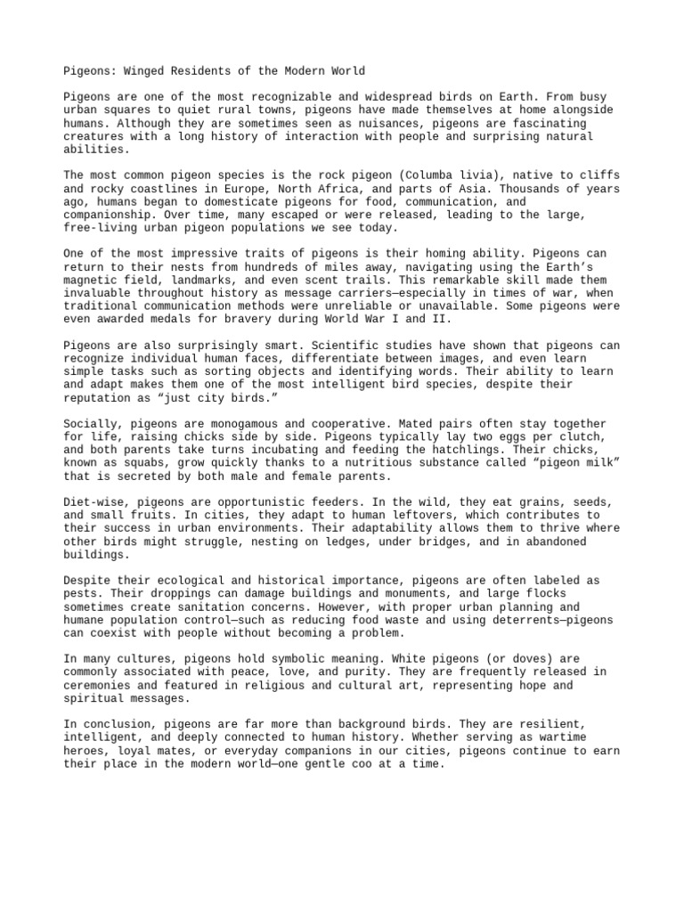 Article - Pigeons - Winged Residents of The Modern World | PDF ...