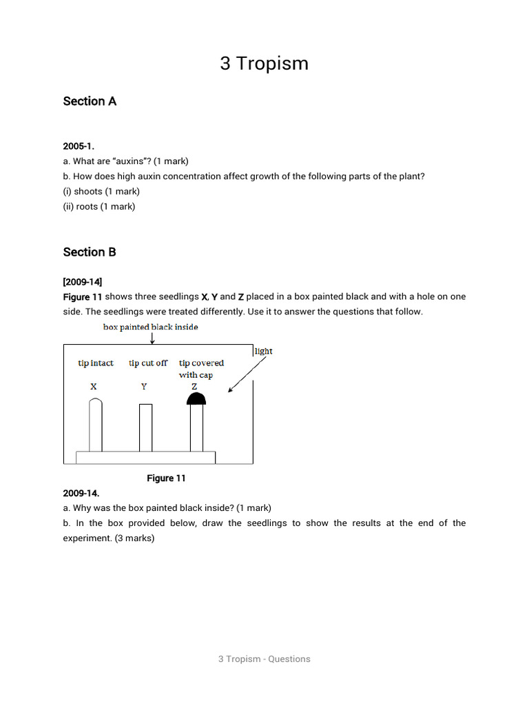 03 Tropism | PDF