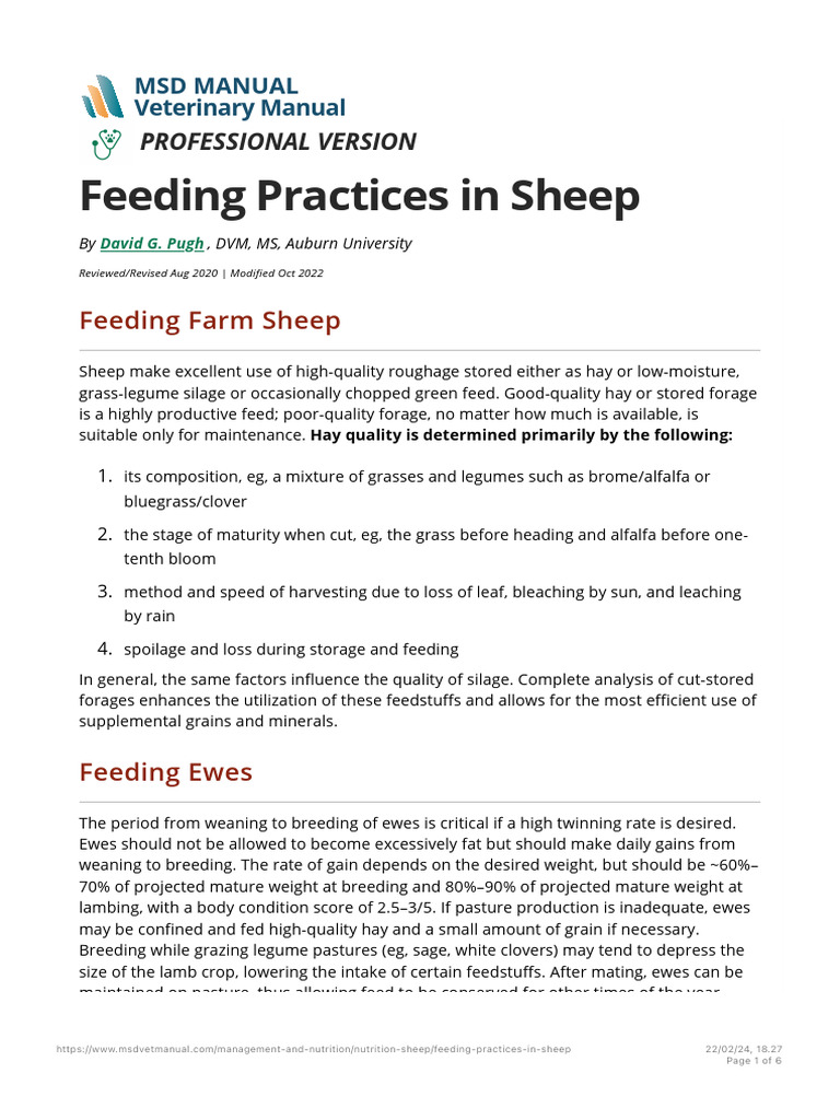 Sheep Feeding Plan Overview | PDF | Sheep | Animal Feed