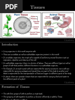 Class 9 Science: Tissues Revision Notes | PDF | Epithelium | Tissue ...
