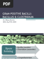 Encapsulated Vs Non Encapsulated Gram Positive Bacteria | PDF