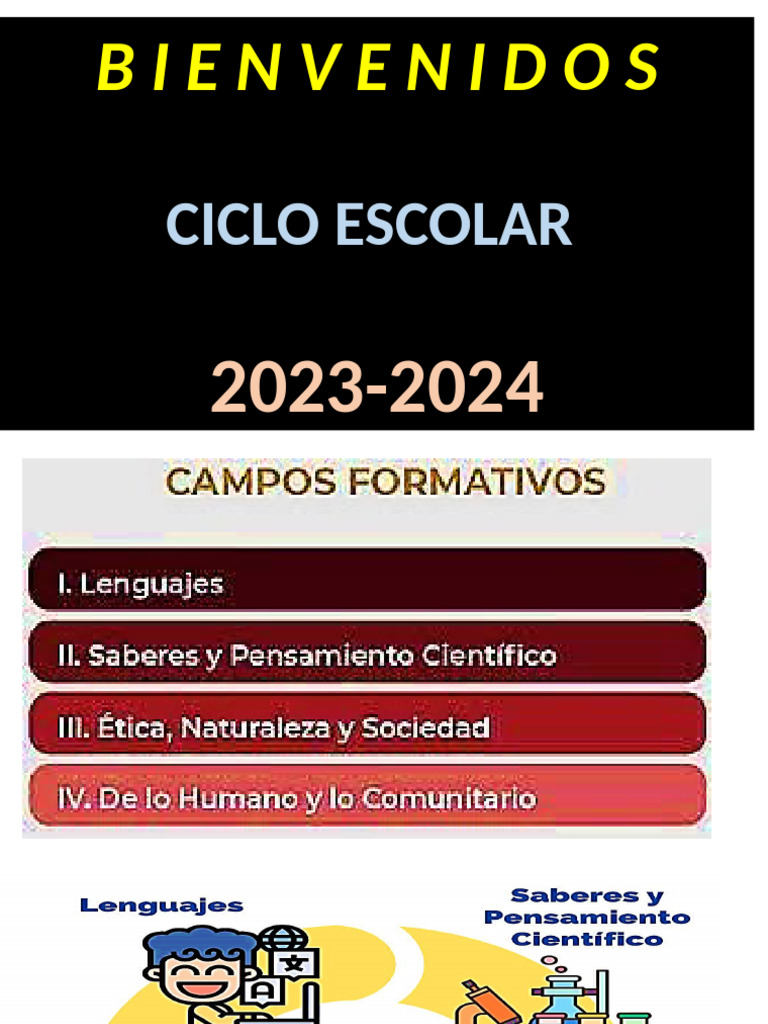 Campos Formativos y Ejes | PDF