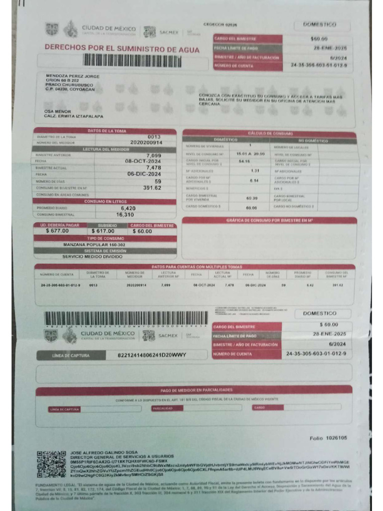 Comprobante de Domicilio | PDF