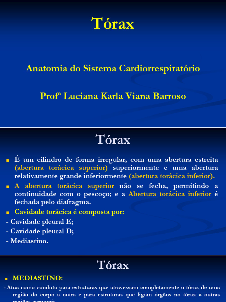 Anatomia do Tórax e Sistema Respiratório | PDF | Vértebra | Coluna ...
