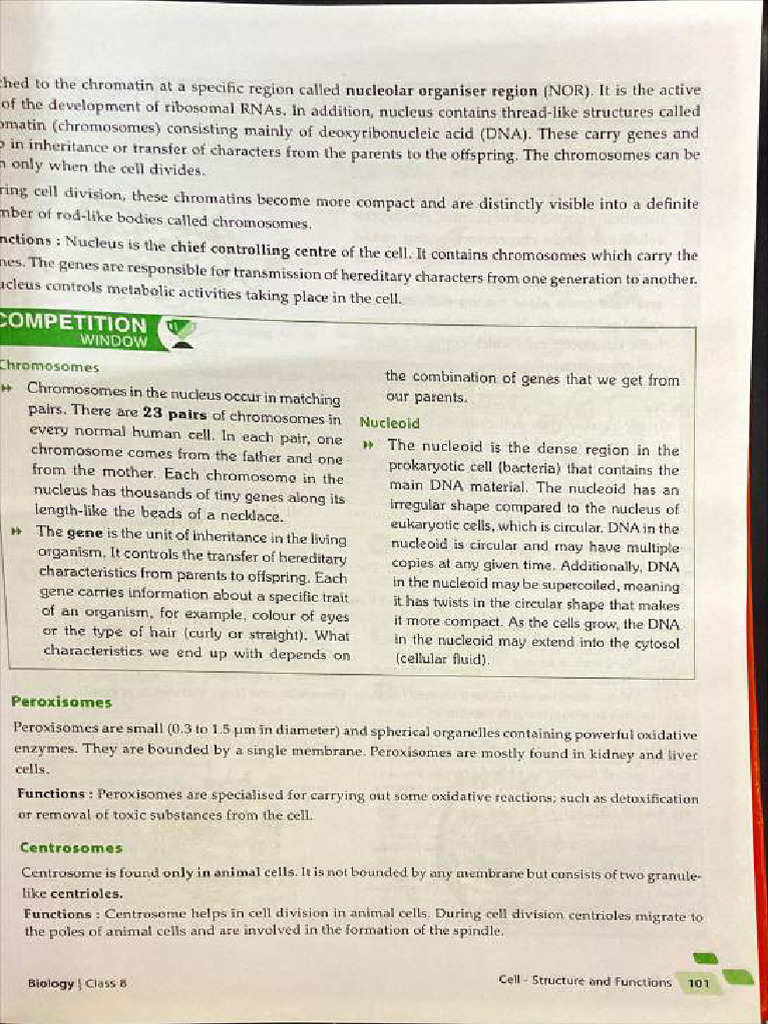 Bio Class 8 IMP-52 | PDF