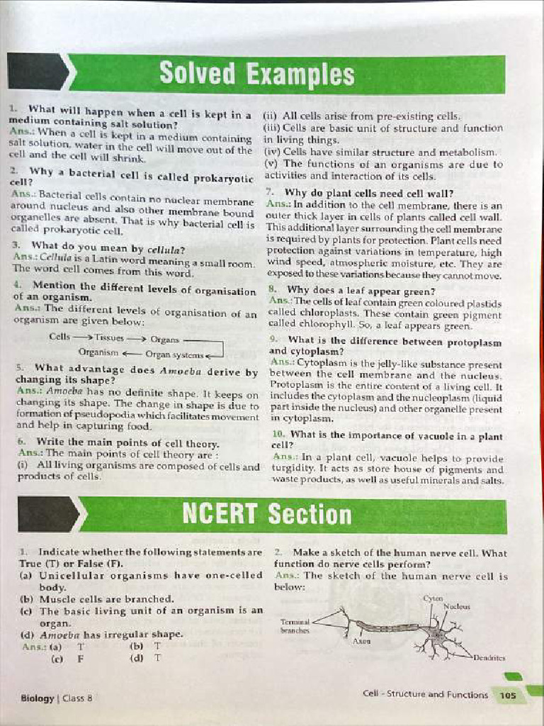 Bio Class 8 IMP-54 | PDF