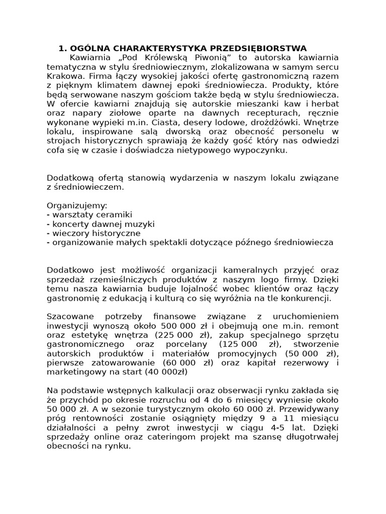 Biz Nes Plan | PDF