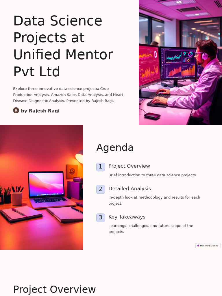 Data Science Projects Overview | PDF | Data Science | Data