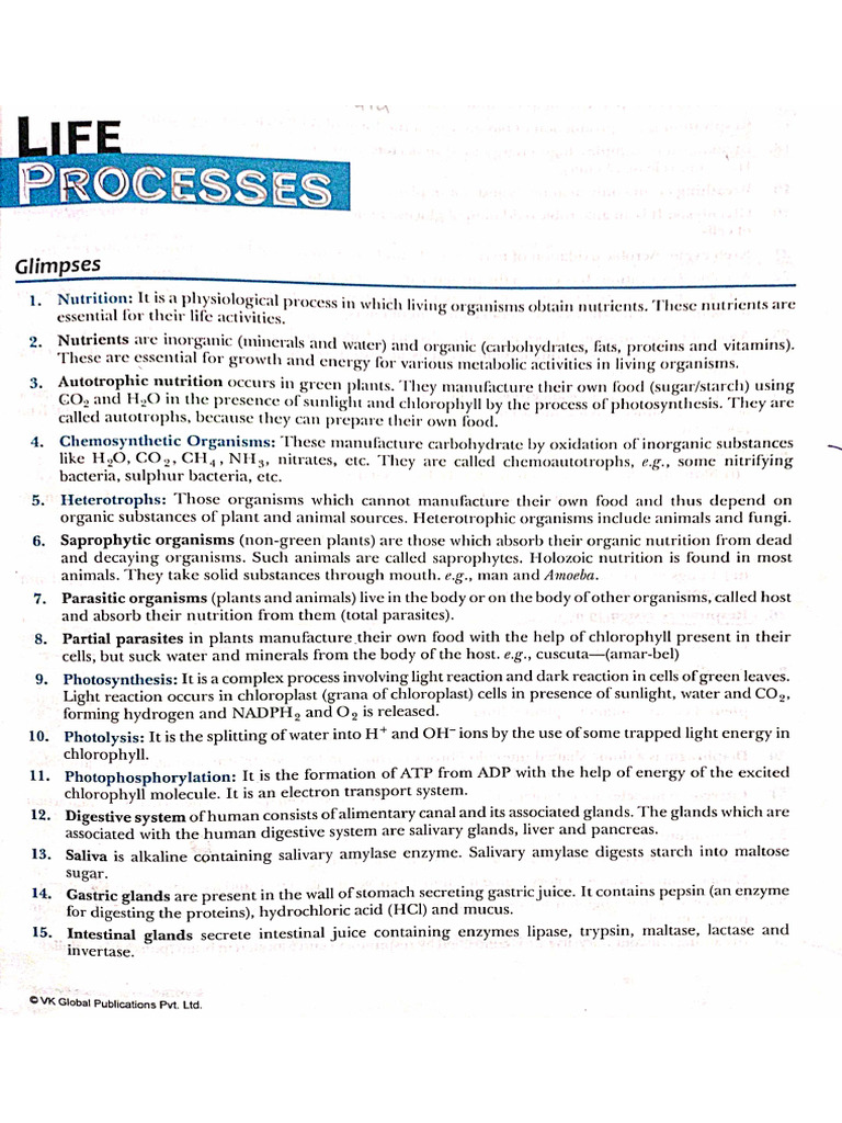 Life Process Class X | PDF
