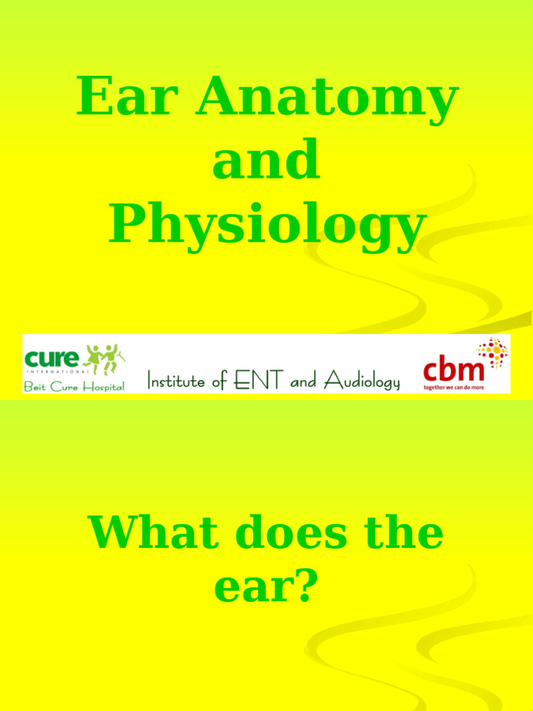 Ear Anatomy and Physiology Overview | PDF | Ear | Hearing