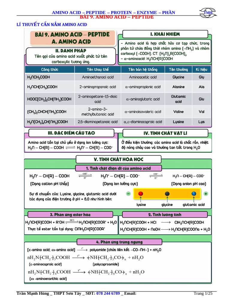 Bài 9. Amino Acid - Peptide - Protein - Enzyme | PDF