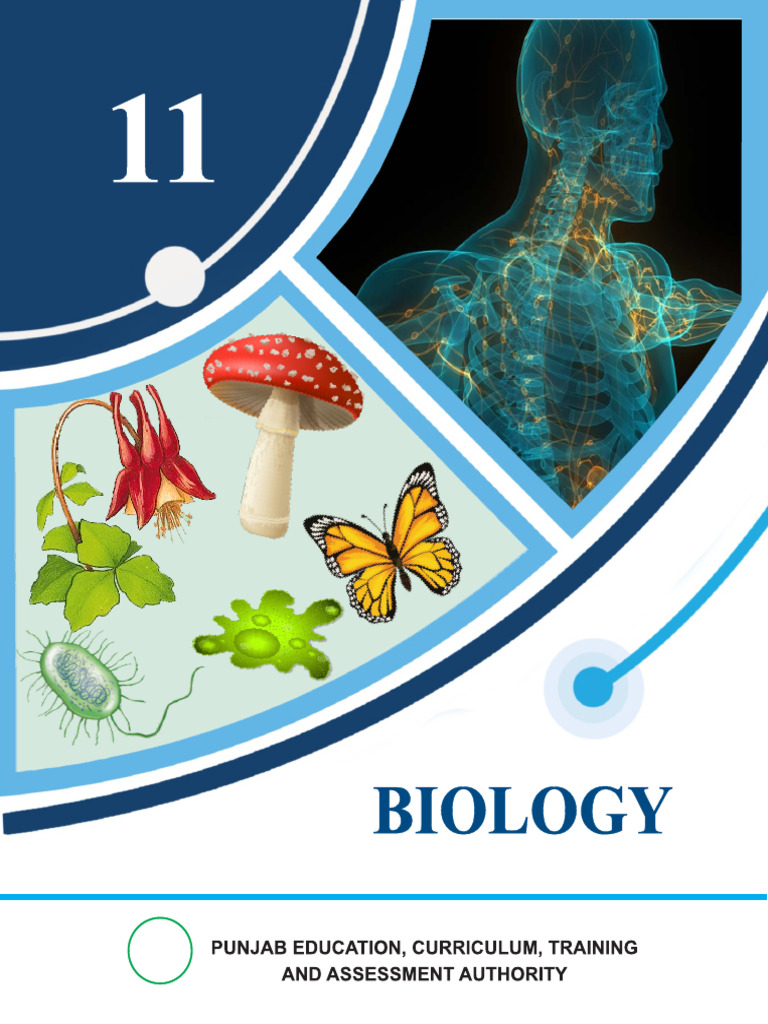 Biology 11 New Book | PDF | Archaea | Bacteria