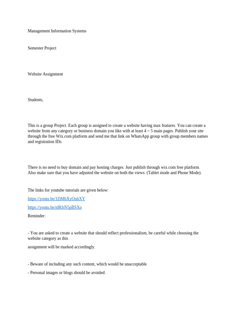 Management Information Systems Project Guidlines | PDF