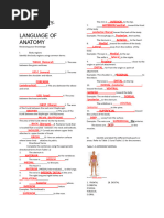 Directional Terms Worksheet | PDF | Anatomical Terms Of Location | Elbow