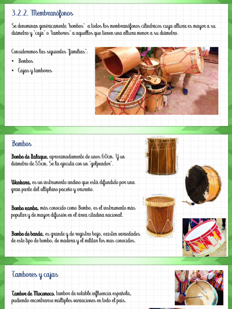Instrumentos Musicales Autóctonos de Bolivia | PDF | Instrumentos de ...